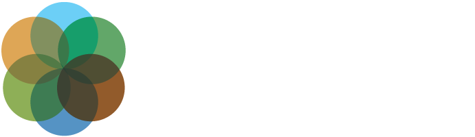 The Trick to Optical Illusions – St Johns MI | Avery Eye Care Center